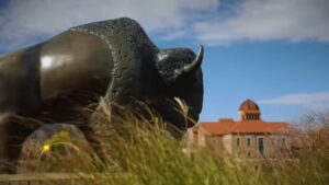 303 Area Code - Number Location, Cities, Map & Time