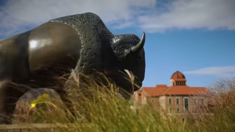 303 Area Code - Number Location, Cities, Map & Time